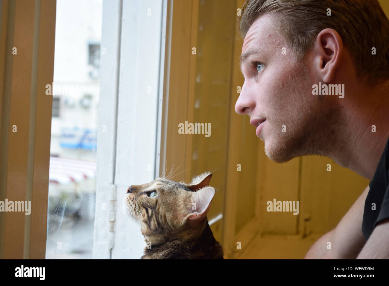 Cat And Man Looking Through Window Stock Photo - Alamy