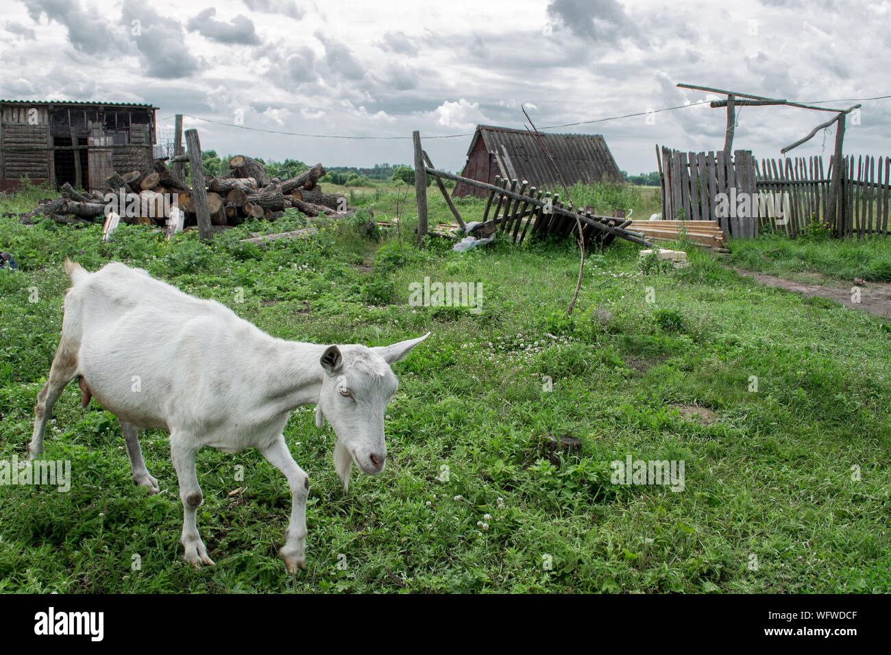 Bondari hi-res stock photography and images - Alamy