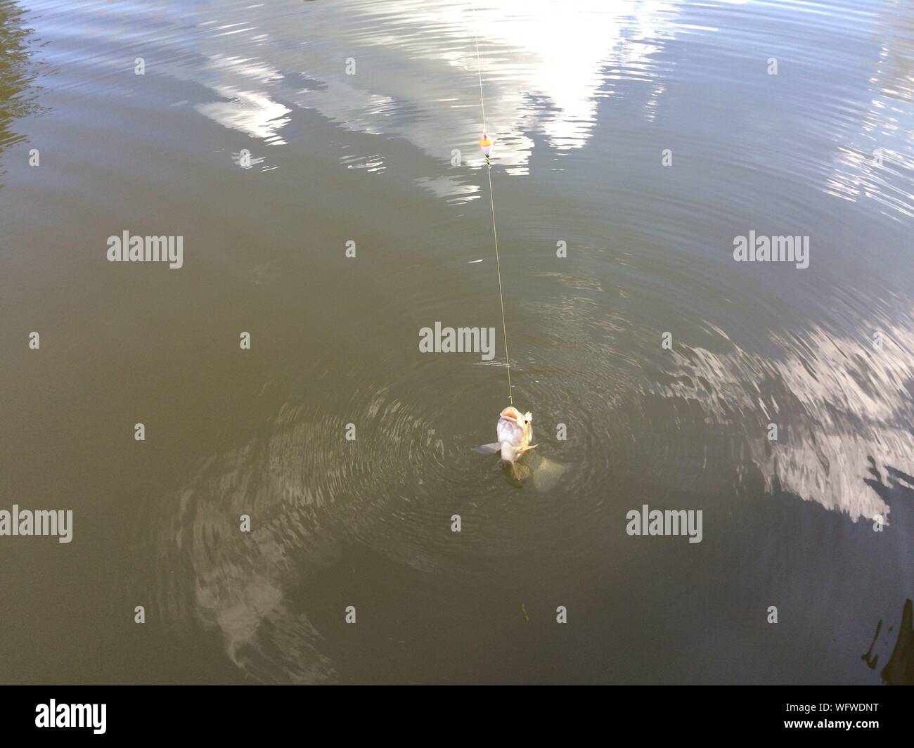 Rod caught hi-res stock photography and images - Alamy