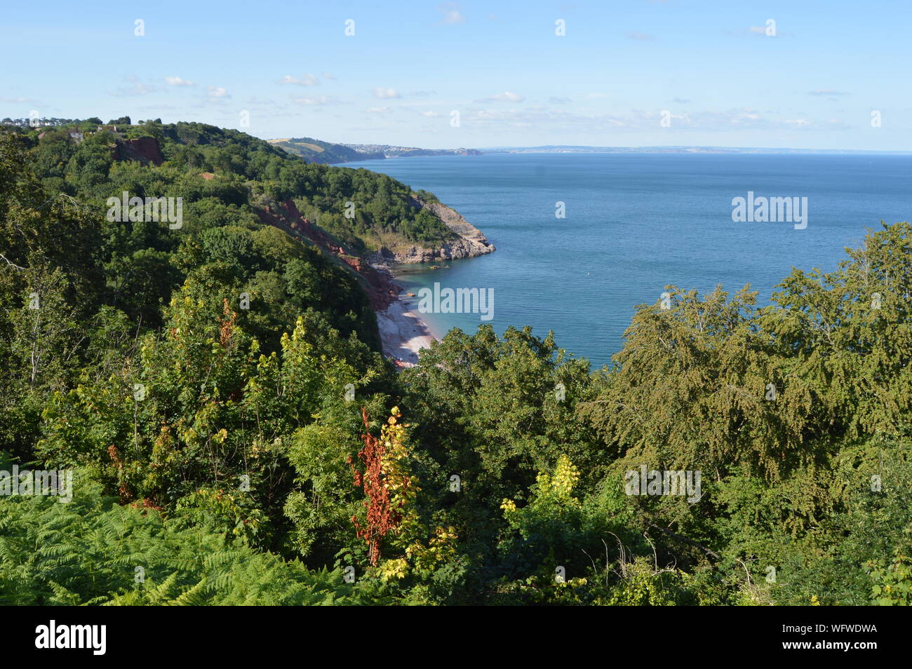 Oddicombe Beach below Babbacombe, Torquay, Devon Stock Photo - Alamy