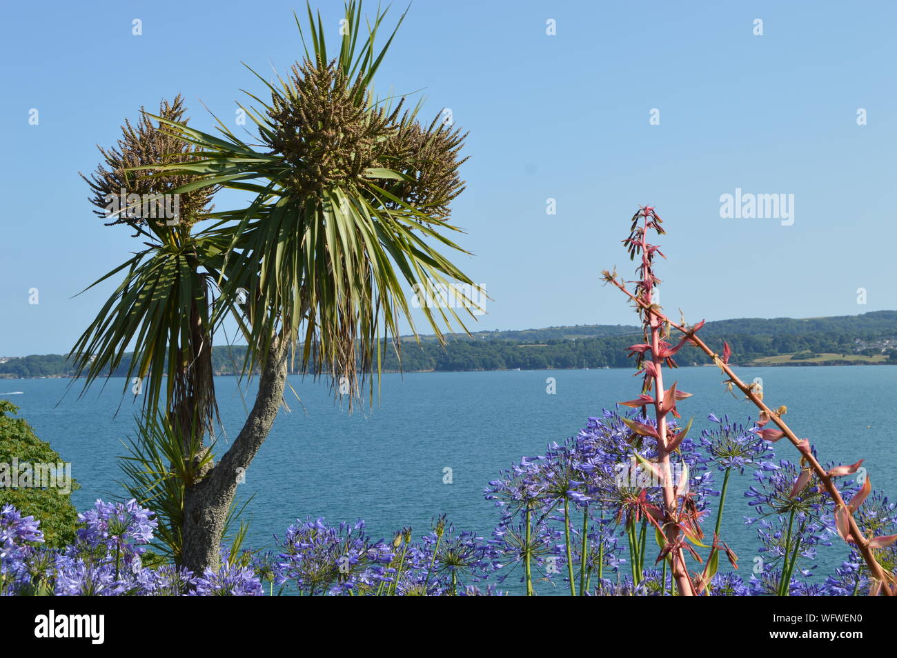 Tropical plantings hi-res stock photography and images - Alamy