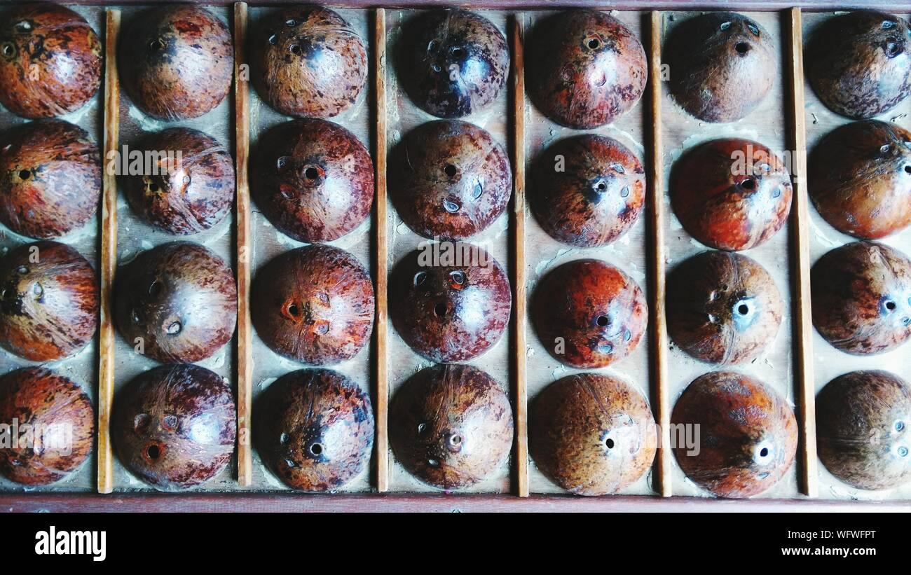 Shells In Coconut High Resolution Stock Photography and Images - Alamy