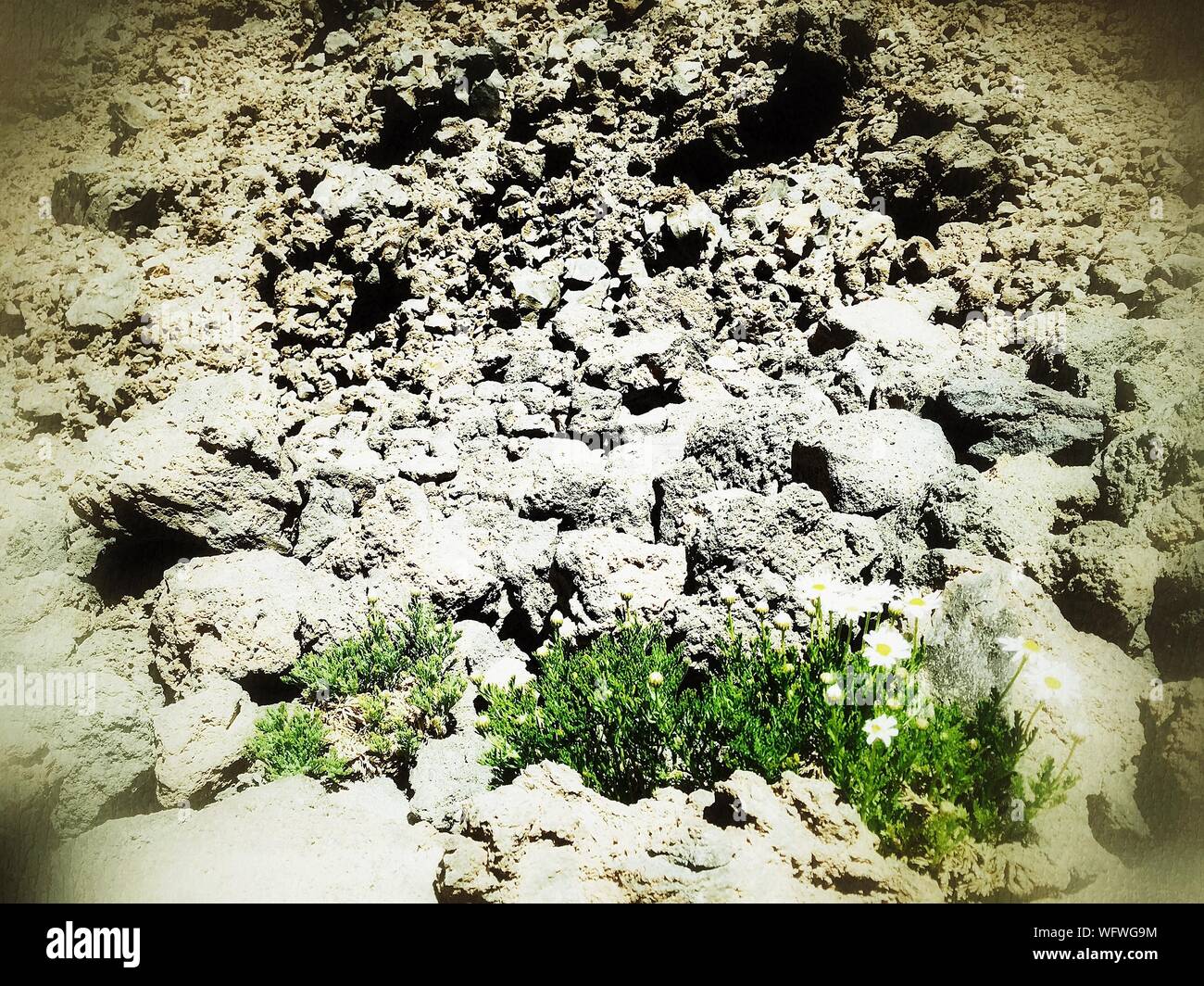 Volcano rocks hi-res stock photography and images - Alamy