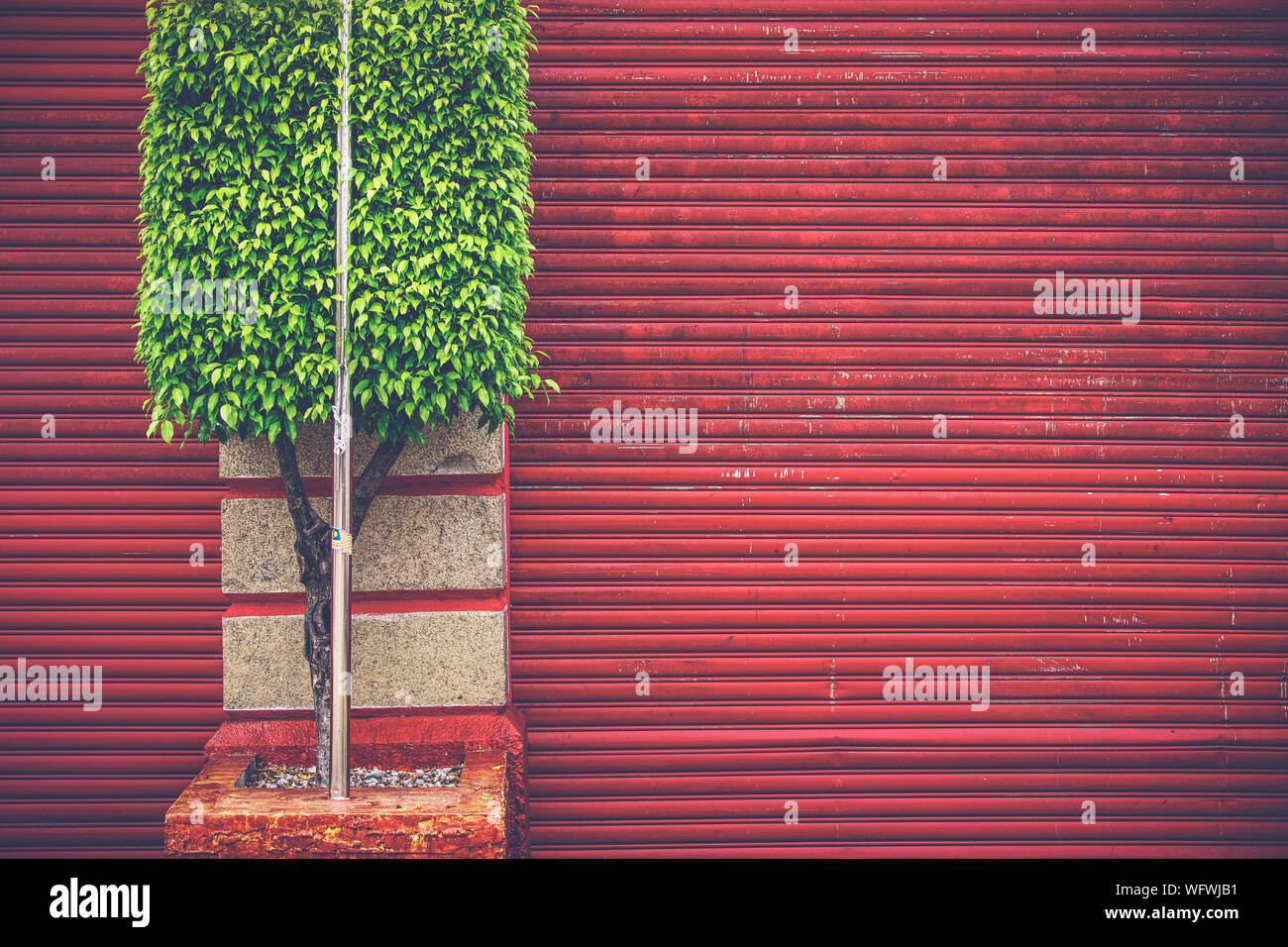 Shutter leaf hi-res stock photography and images - Alamy