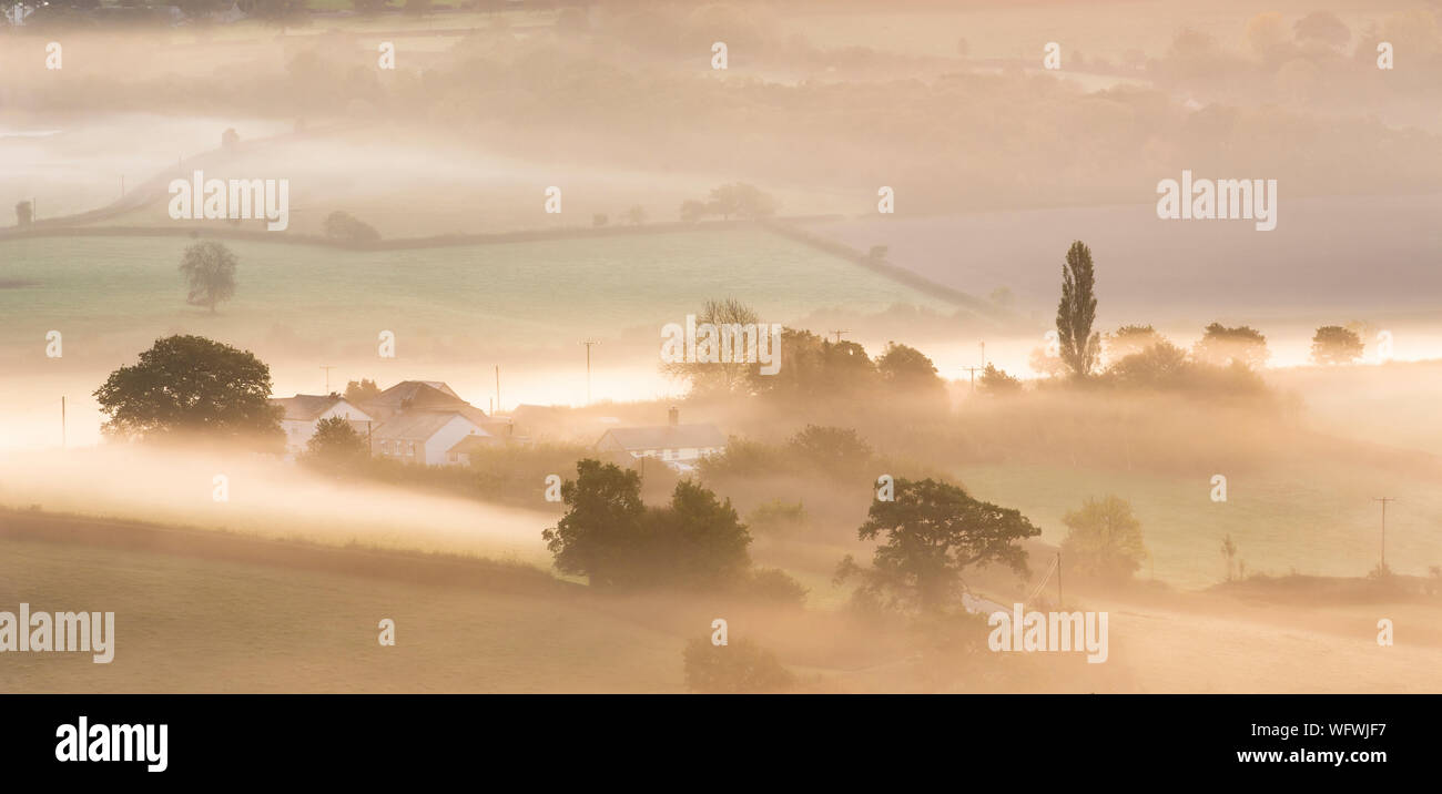 Devon mist hi-res stock photography and images - Alamy