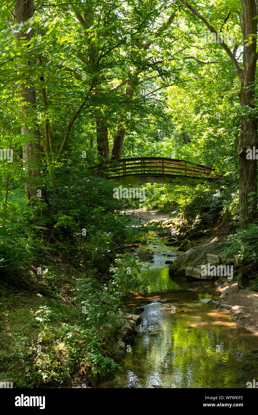Forest landscape with a river or creek and an old arched wooden bridge ...