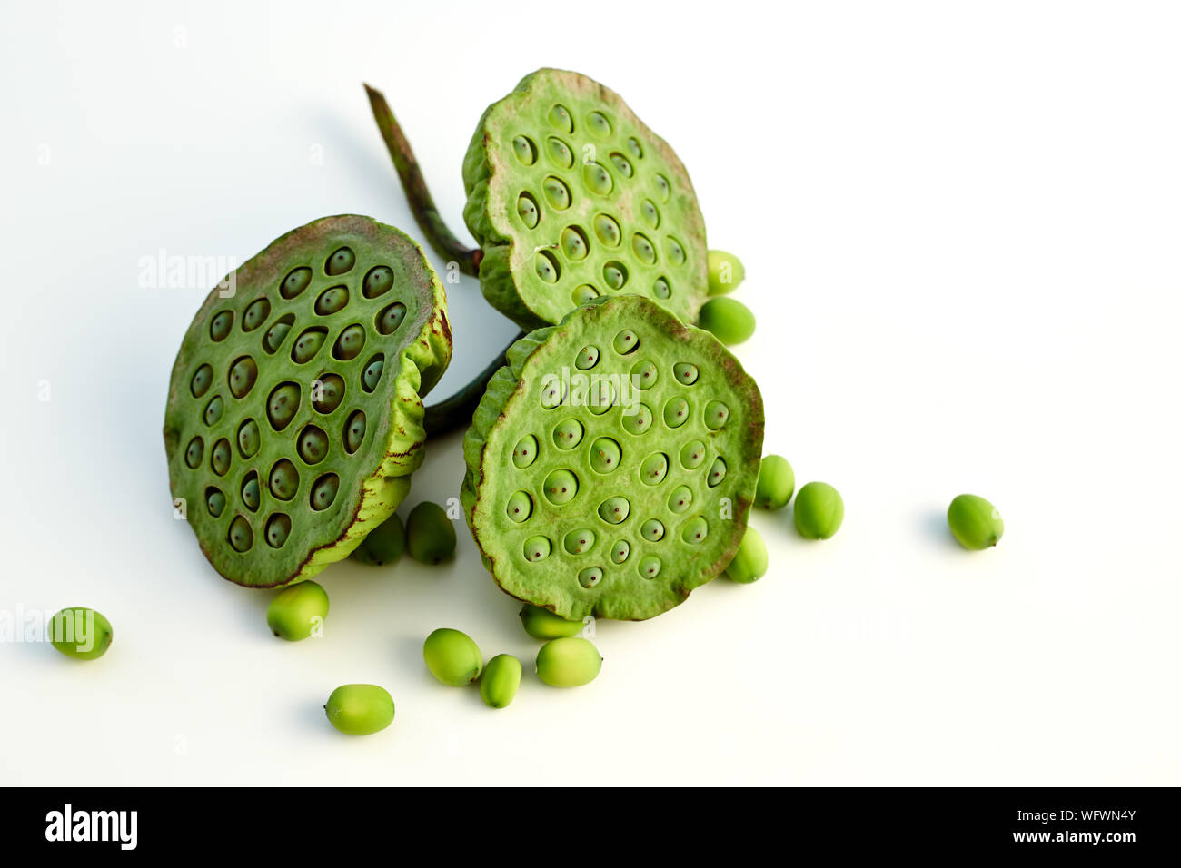 Green lotus seed pods hi-res stock photography and images - Alamy