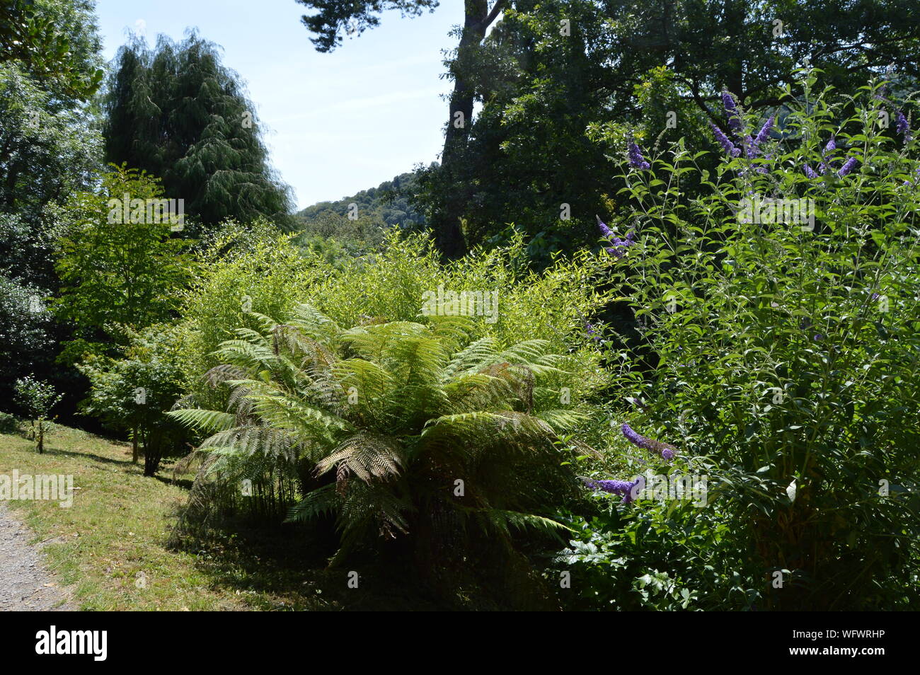 Greenway House Gardens, Devon, England Stock Photo - Alamy