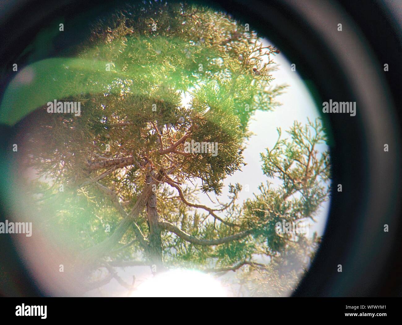 Sky reflected in camera lens hi-res stock photography and images - Alamy