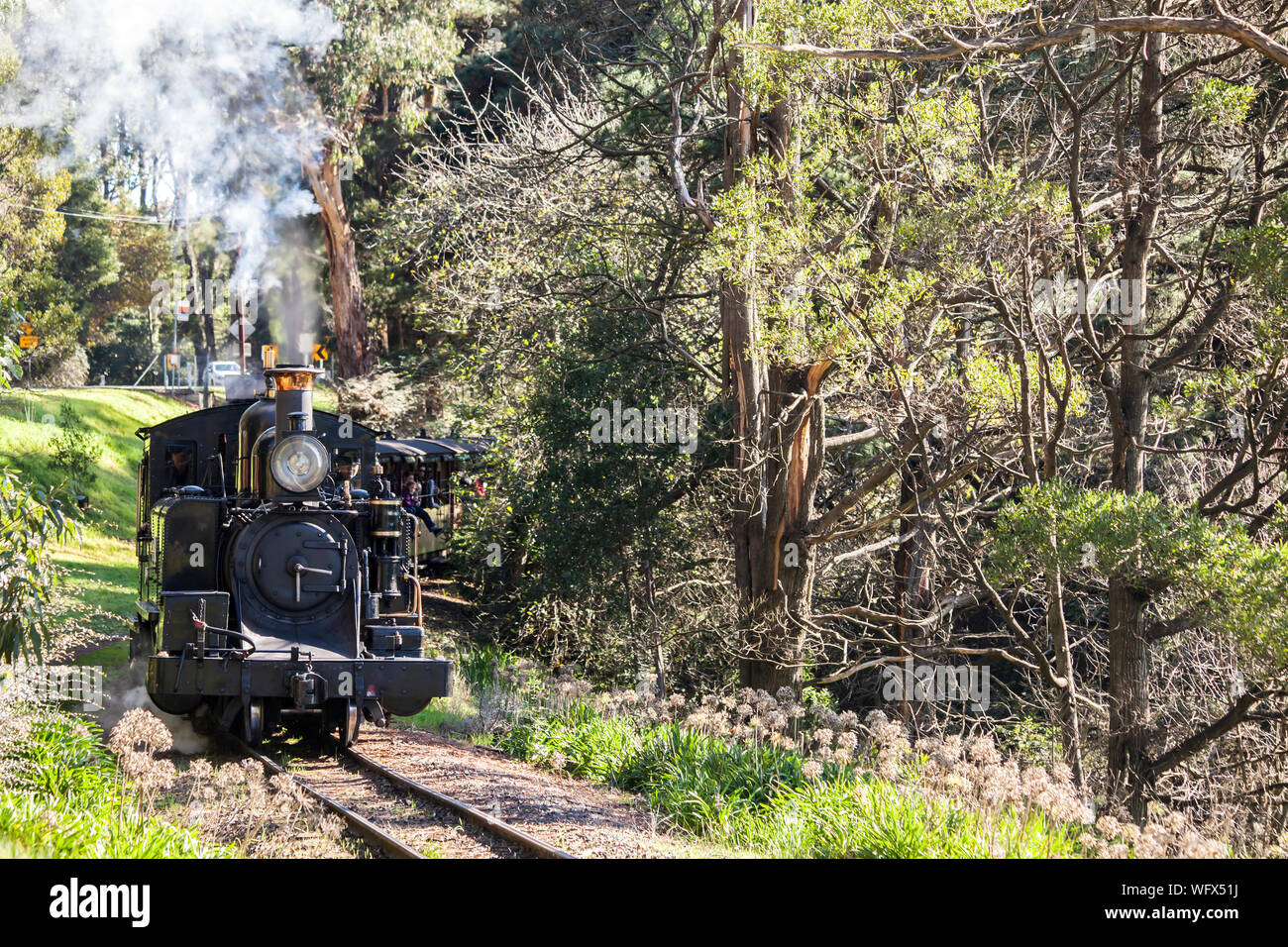 Train and trees hi-res stock photography and images - Alamy
