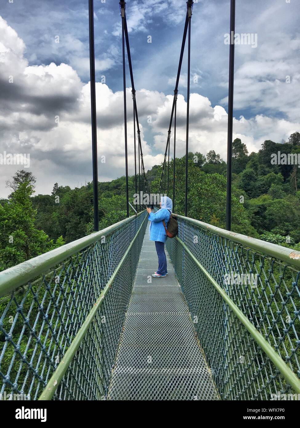 Macritchie Reservoir Park High Resolution Stock Photography and Images ...