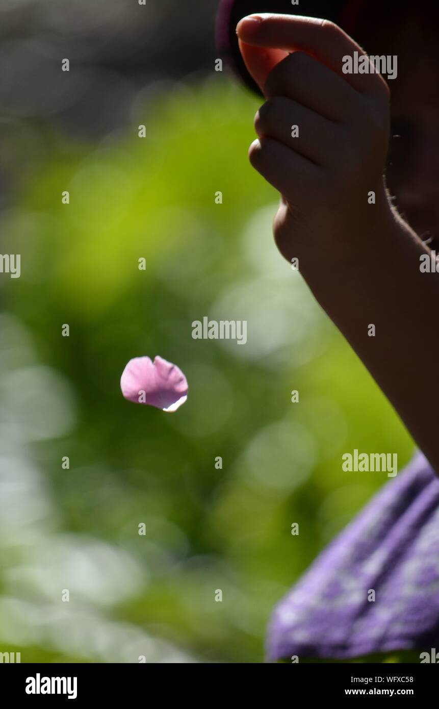 Petal falling hi-res stock photography and images - Alamy