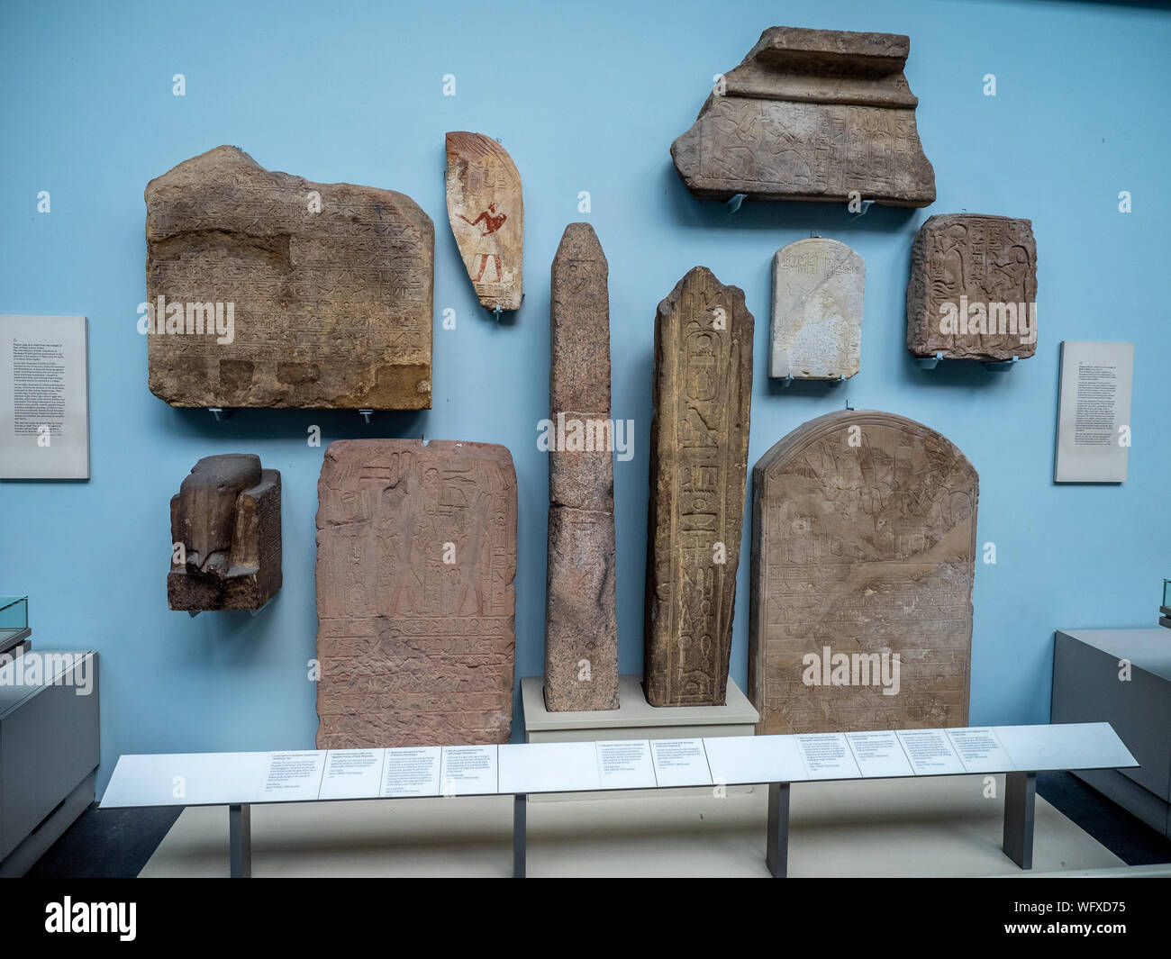 The British Museum, London. Hall of Ancient Egypt, artifacts, busts and ...