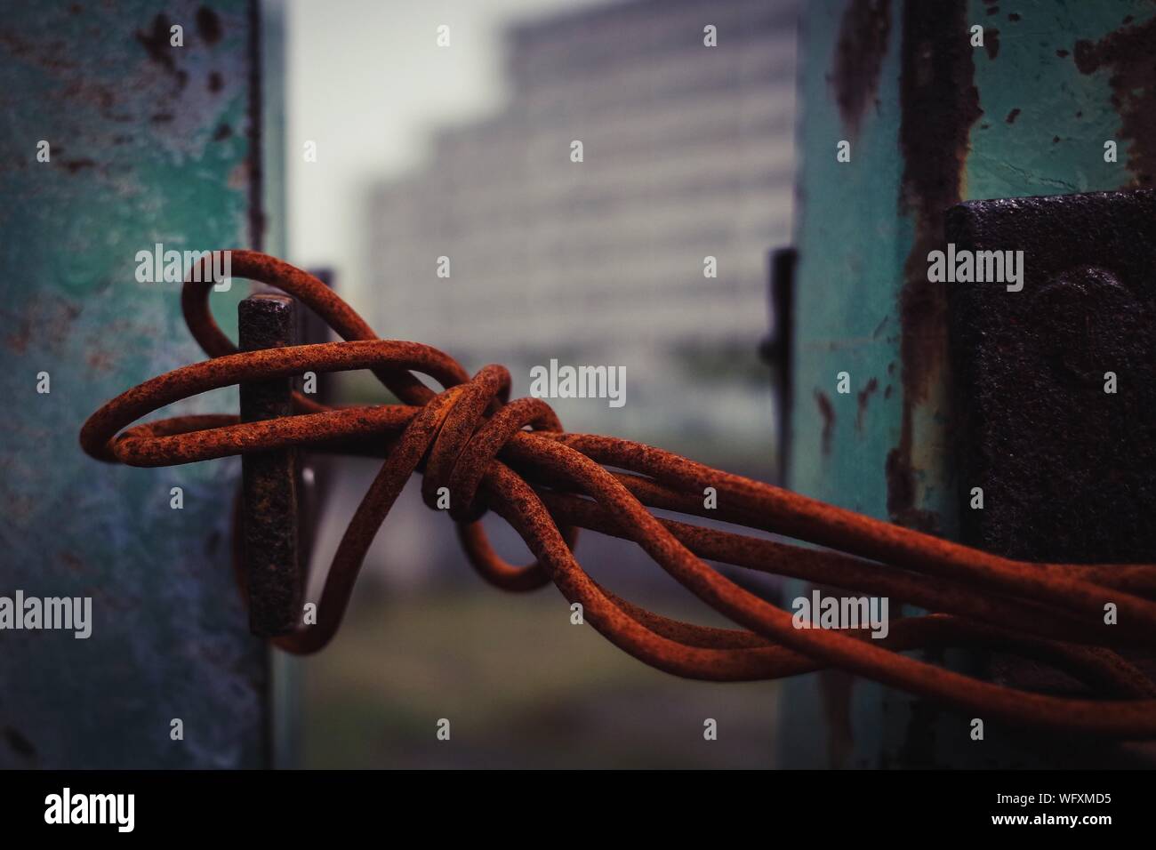 Metal wire tied hi-res stock photography and images - Alamy