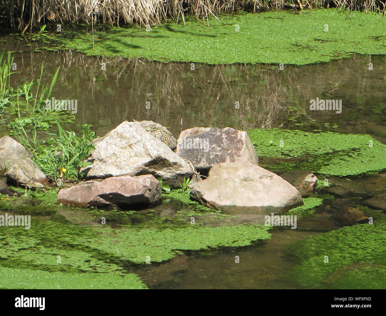 Object floating in water hi-res stock photography and images - Alamy