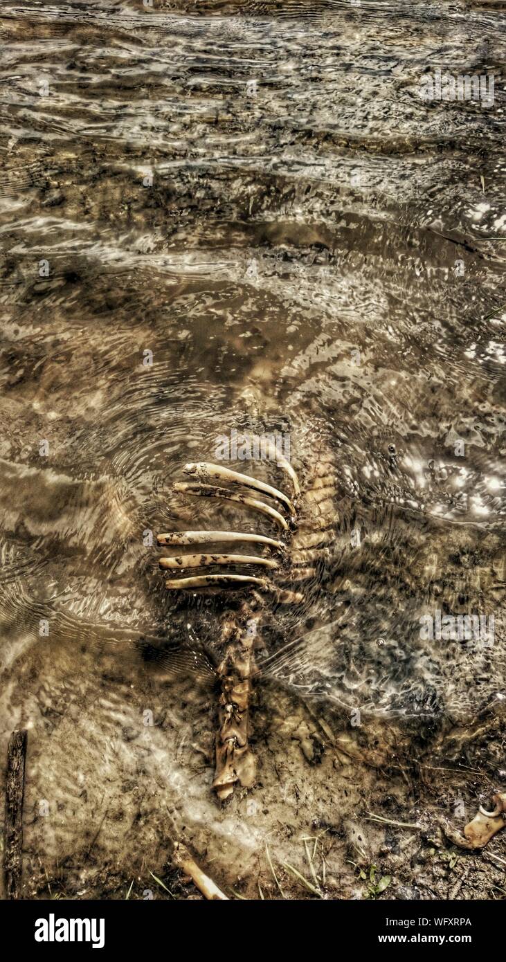 The skeleton river hi-res stock photography and images - Alamy