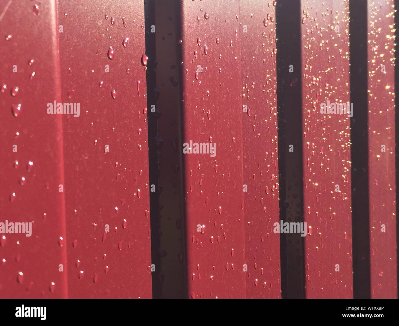 Wet fence hi-res stock photography and images - Alamy