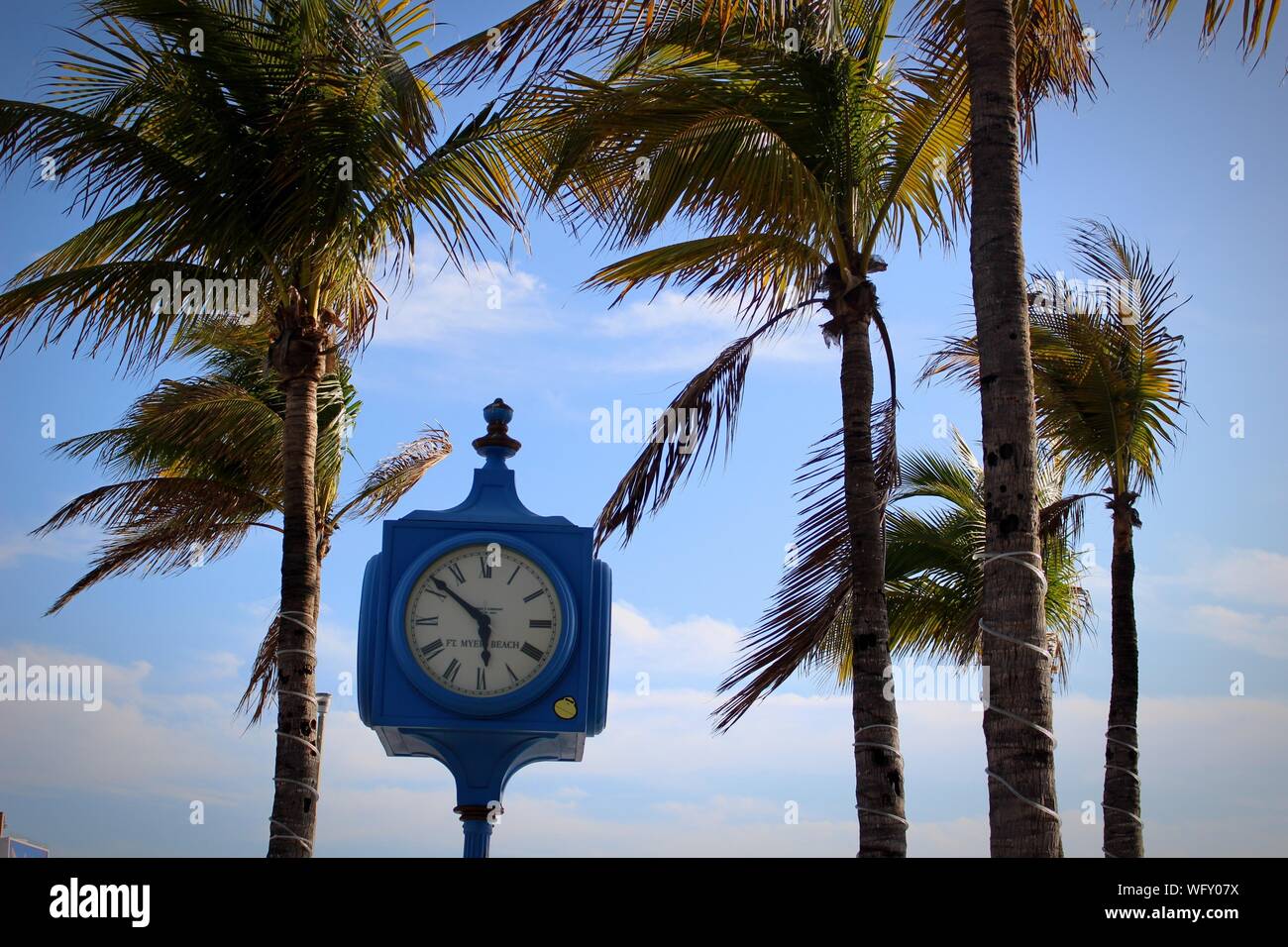 Clock trees hi-res stock photography and images - Alamy