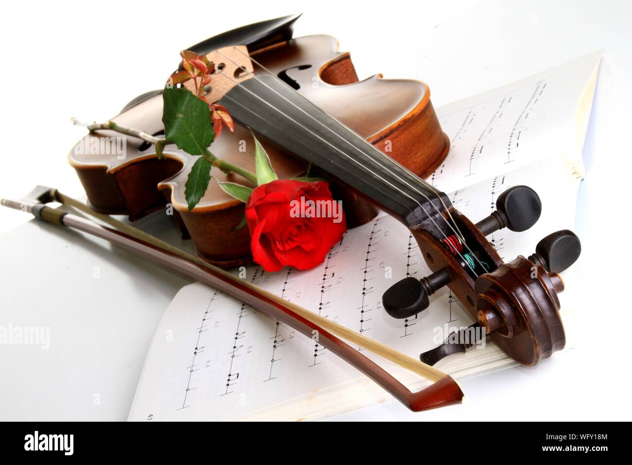 Violin music instrument rose hi-res stock photography and images - Alamy