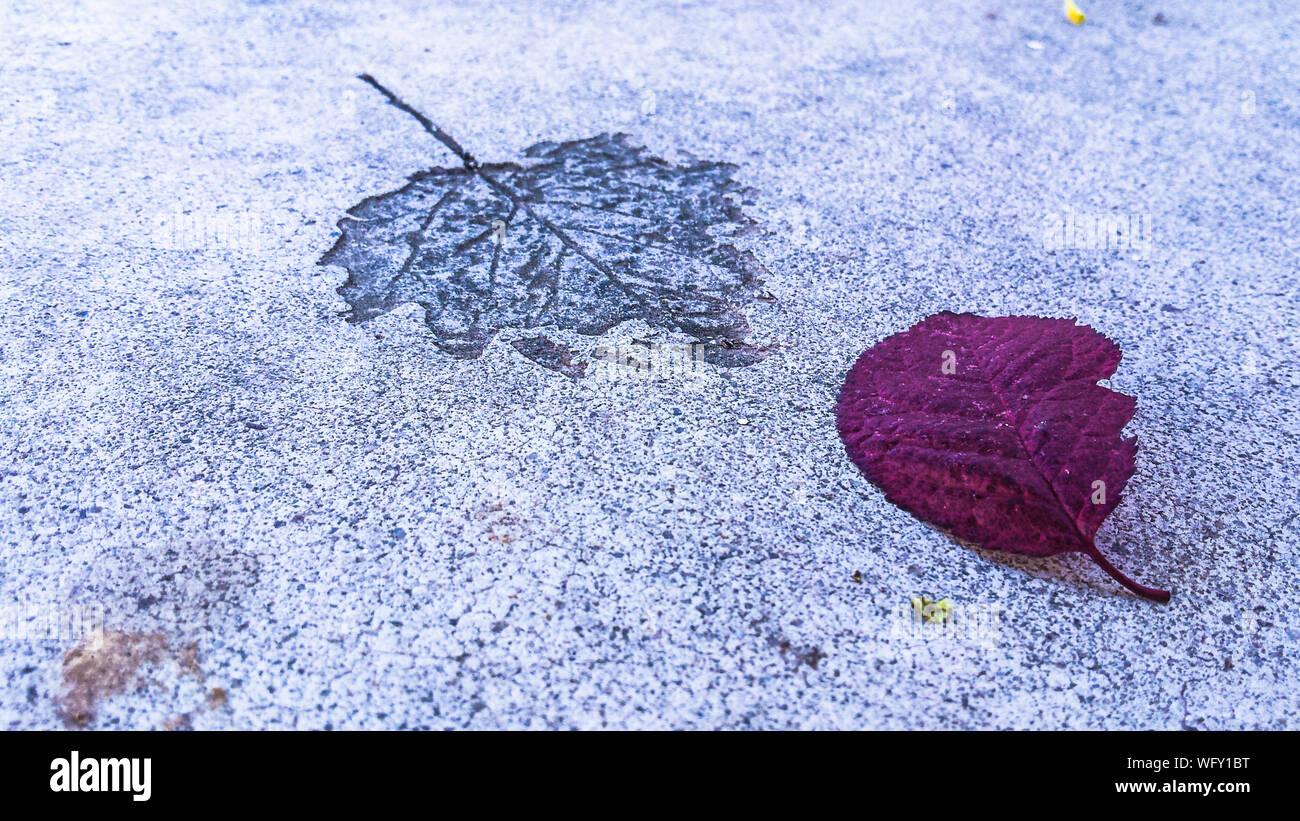 Leaf and sand hi-res stock photography and images - Alamy