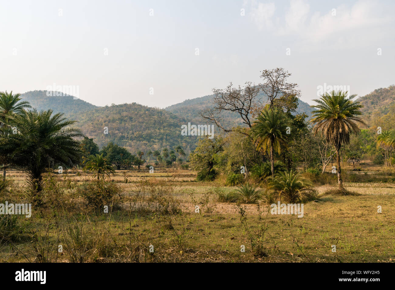 Fields of Phulbani, Odisha, India Stock Photo - Alamy