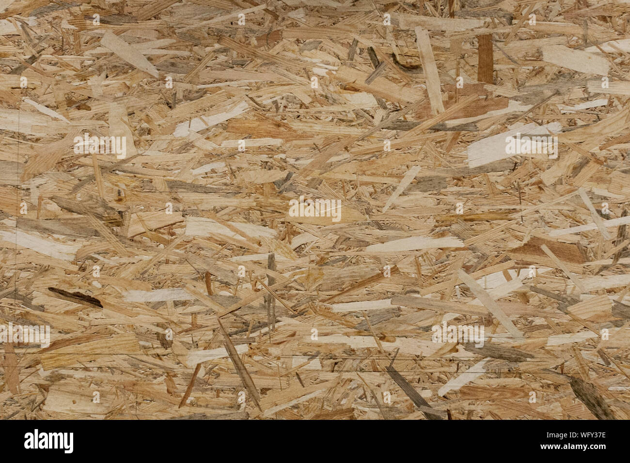 Pressed wooden panel background, seamless texture of oriented strand ...