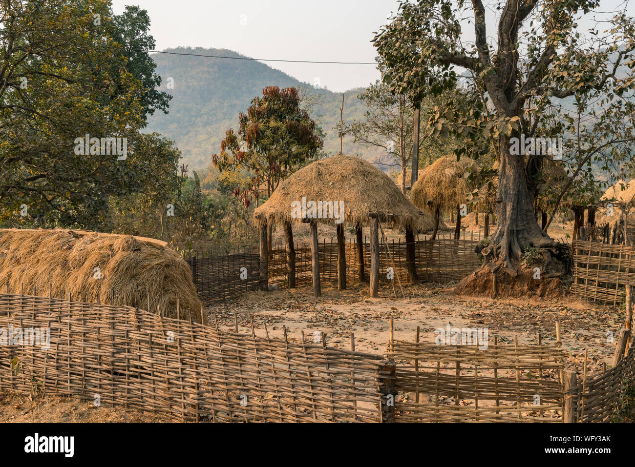 Phulbani hi-res stock photography and images - Alamy