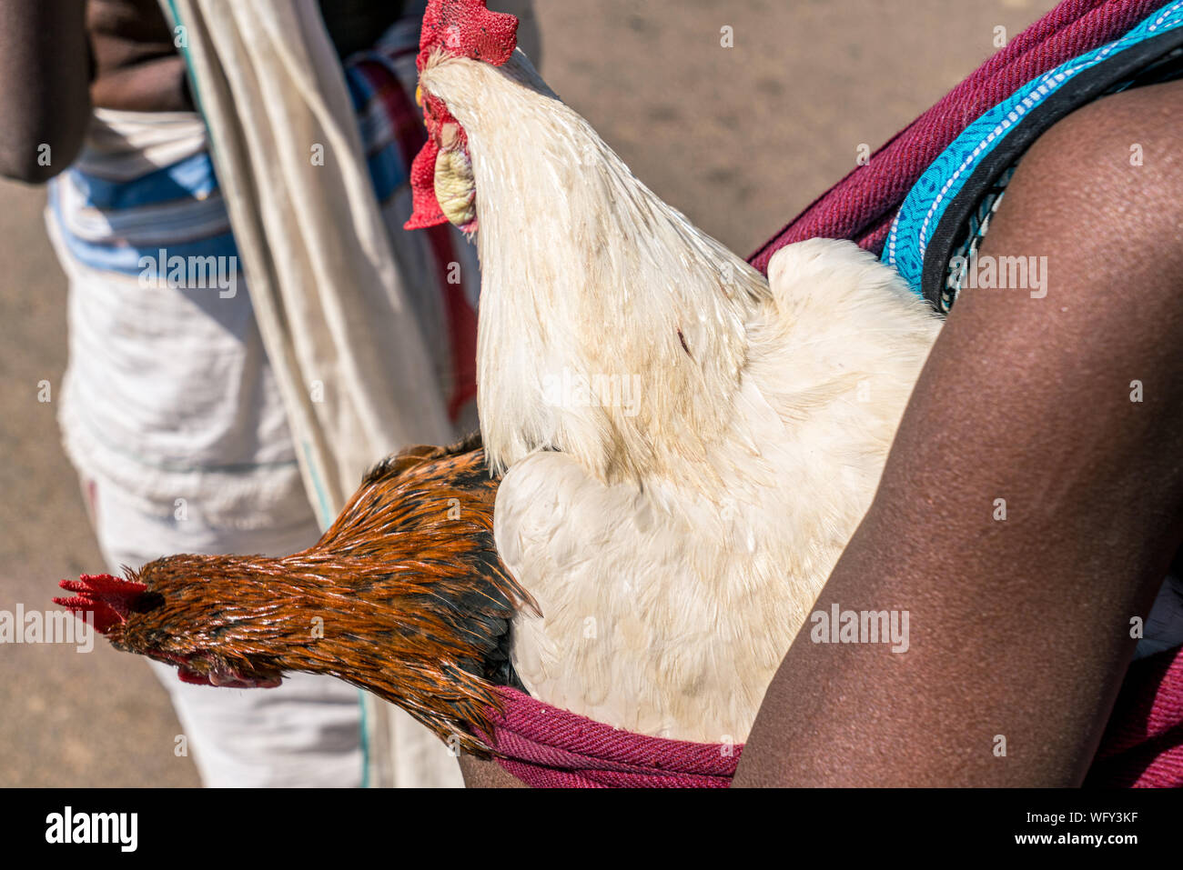 Rayagada, Odisha, India Stock Photo - Alamy