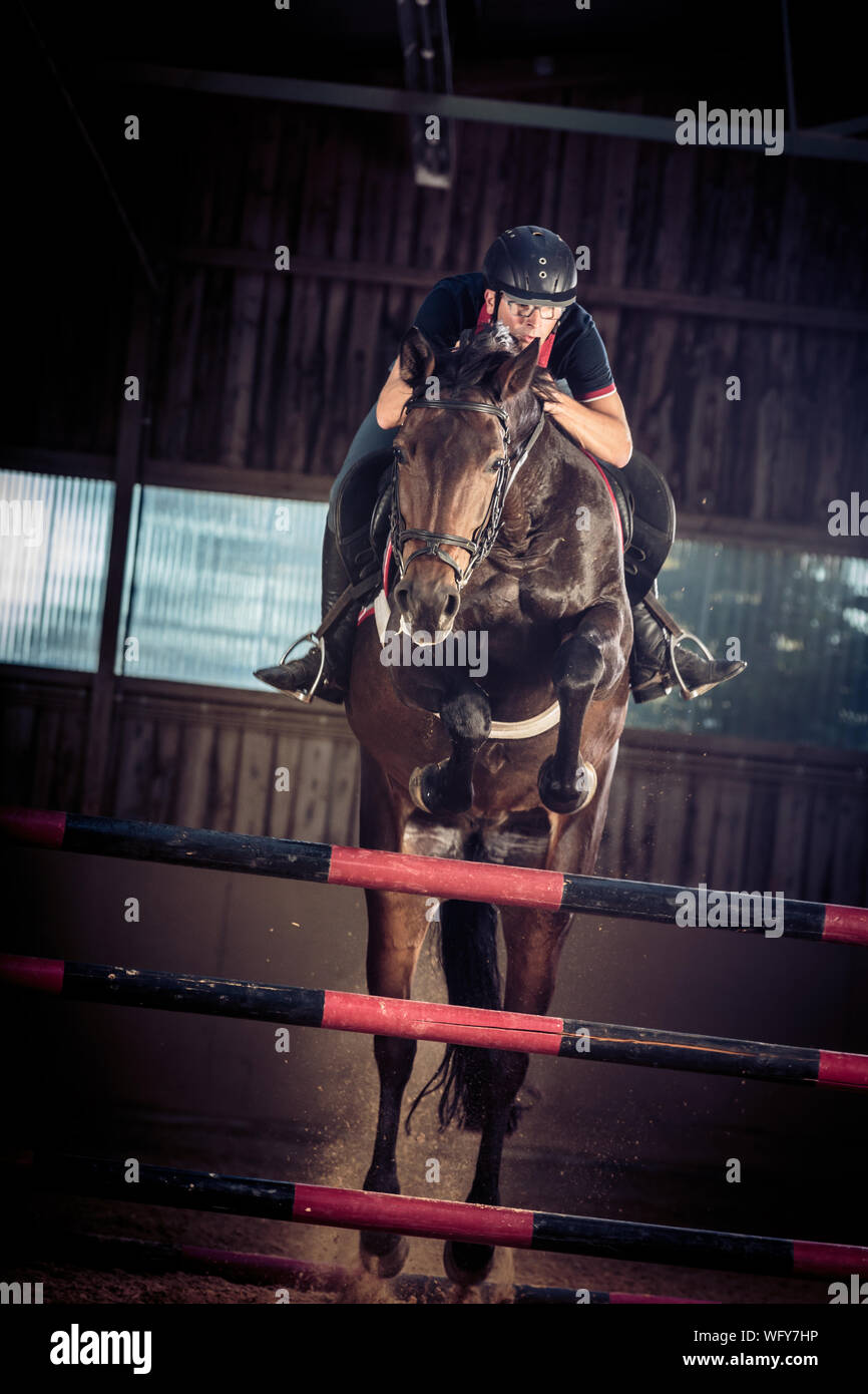 Professional horse riding hi-res stock photography and images - Alamy