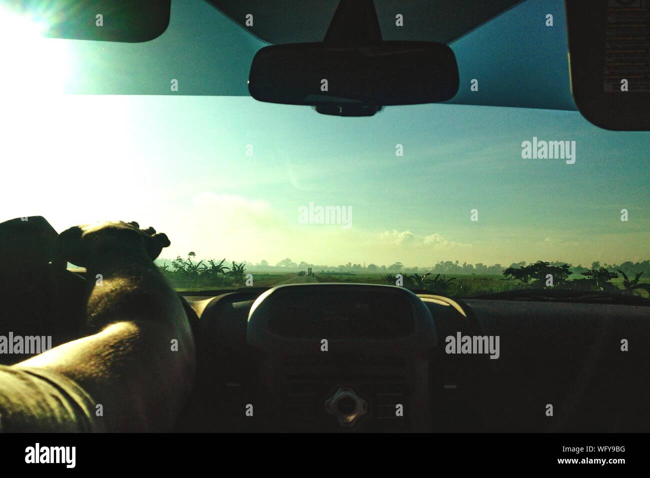 Side view of moving vehicle hi-res stock photography and images - Alamy