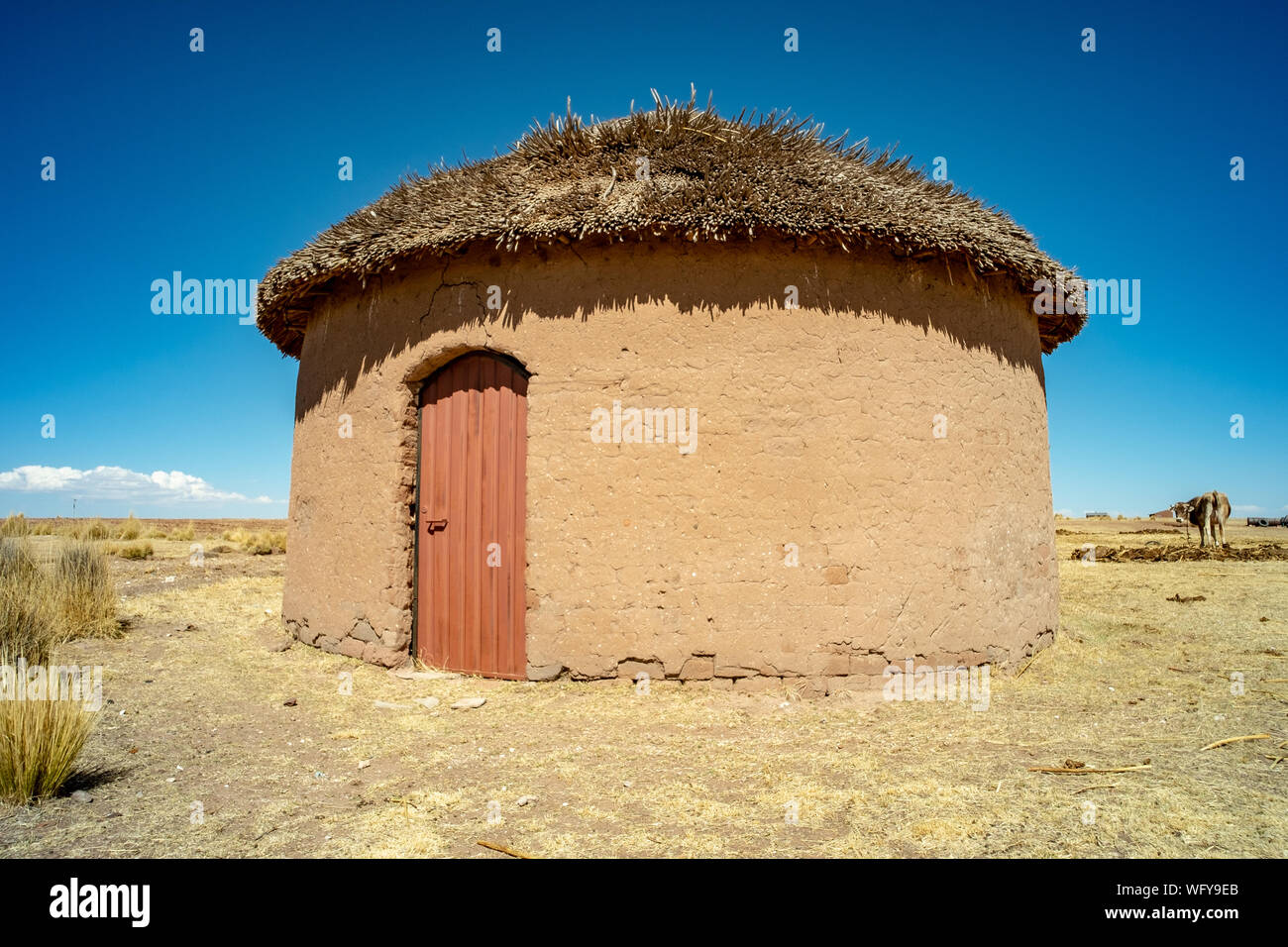 Traditional indigenous house hi-res stock photography and images - Alamy