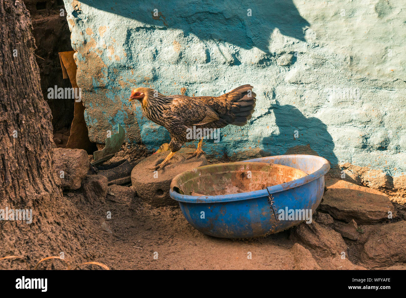 Munda tribe hi-res stock photography and images - Alamy
