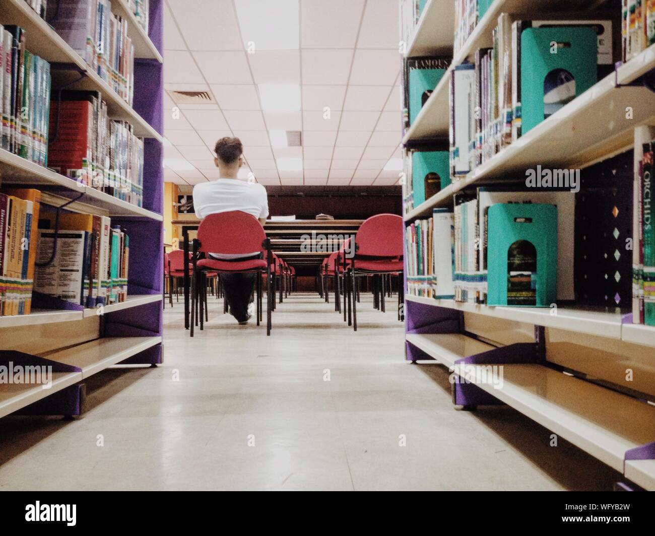 Man library rear view hi-res stock photography and images - Alamy