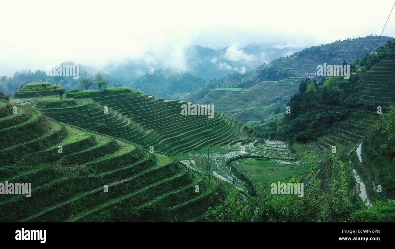 Terraced hills hi-res stock photography and images - Alamy