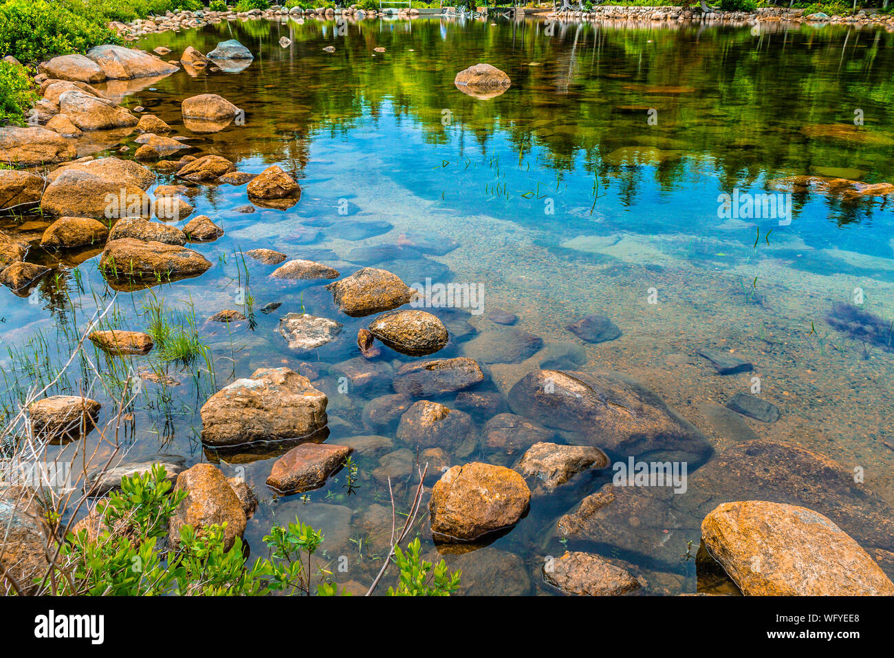 Shallow pond pebbles hi-res stock photography and images - Alamy