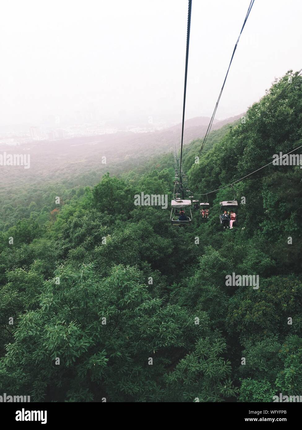 Overhead forest hi-res stock photography and images - Alamy