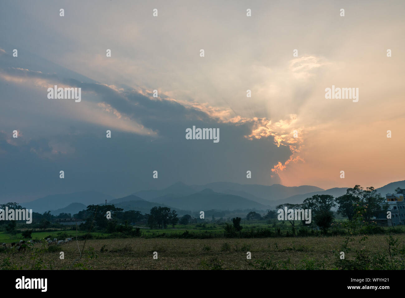Odisha tribe hi-res stock photography and images - Alamy