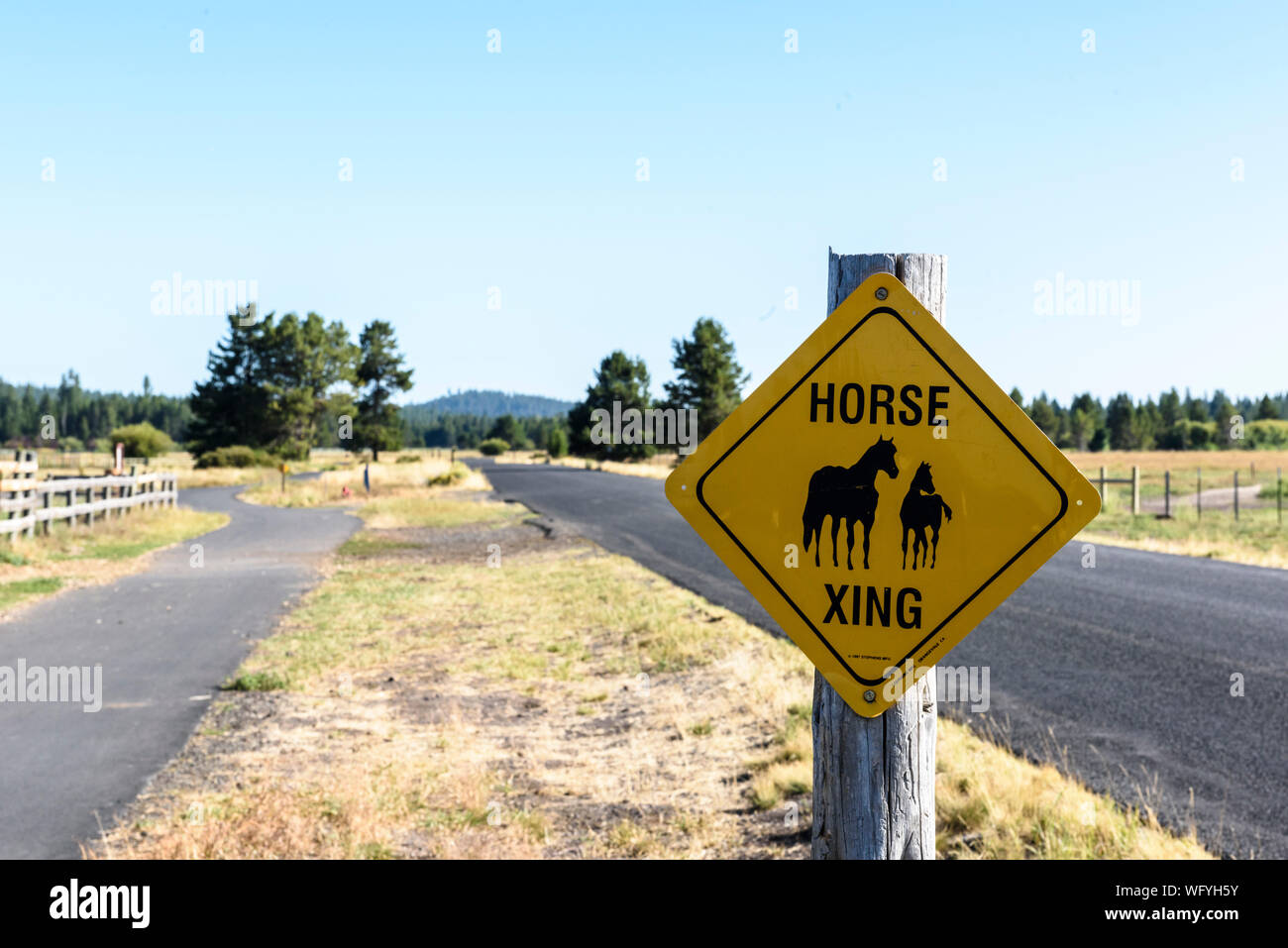 Horse crossing sign hi-res stock photography and images - Alamy