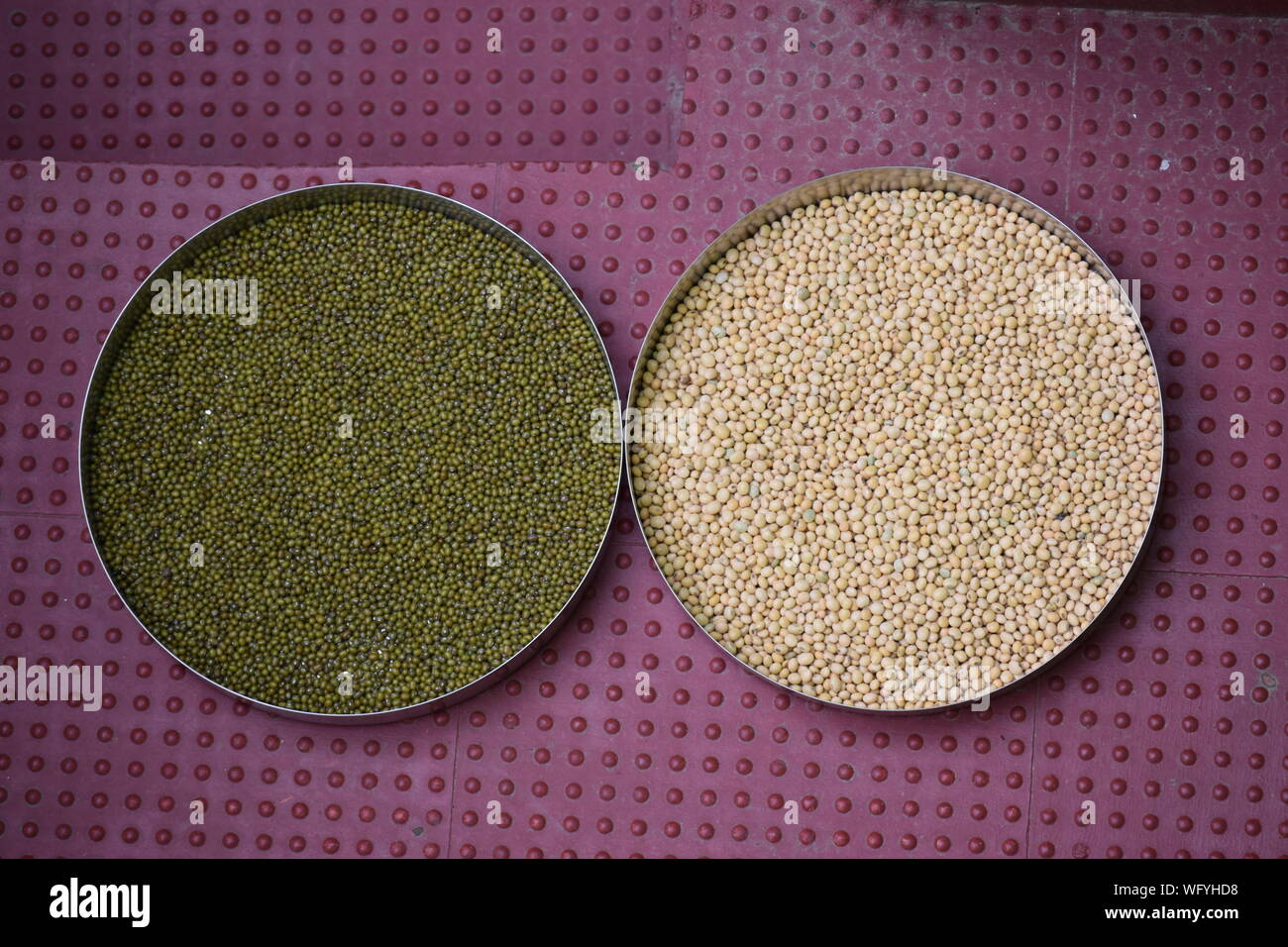 Plate pulses hi-res stock photography and images - Alamy