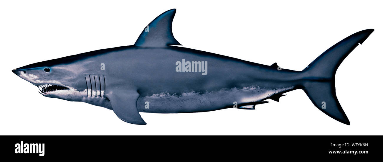 Hastalis hi-res stock photography and images - Alamy