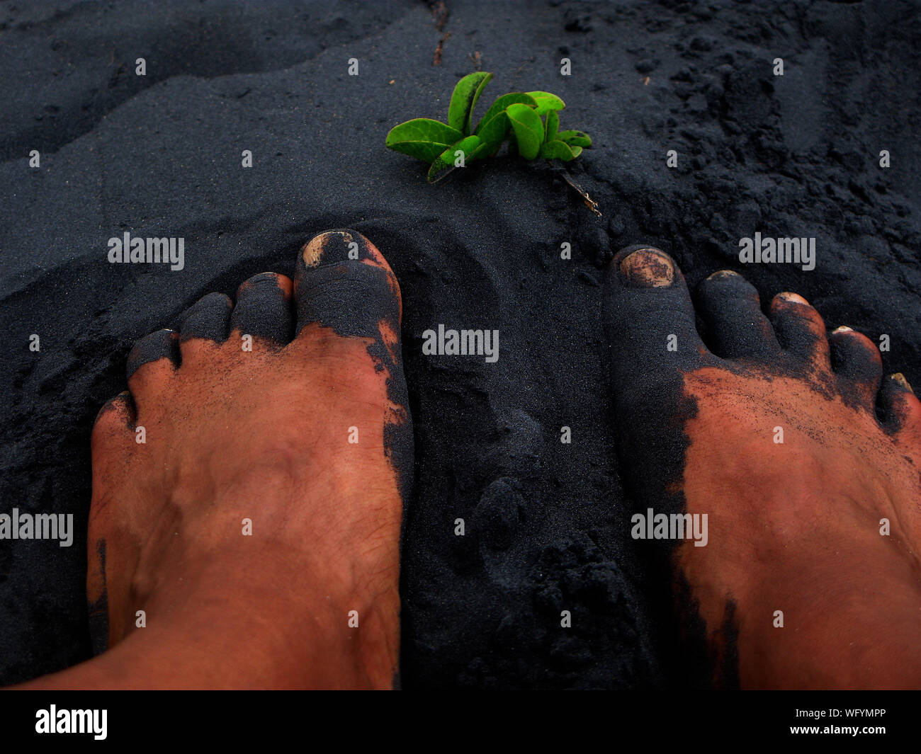 Sandy legs hi-res stock photography and images - Alamy