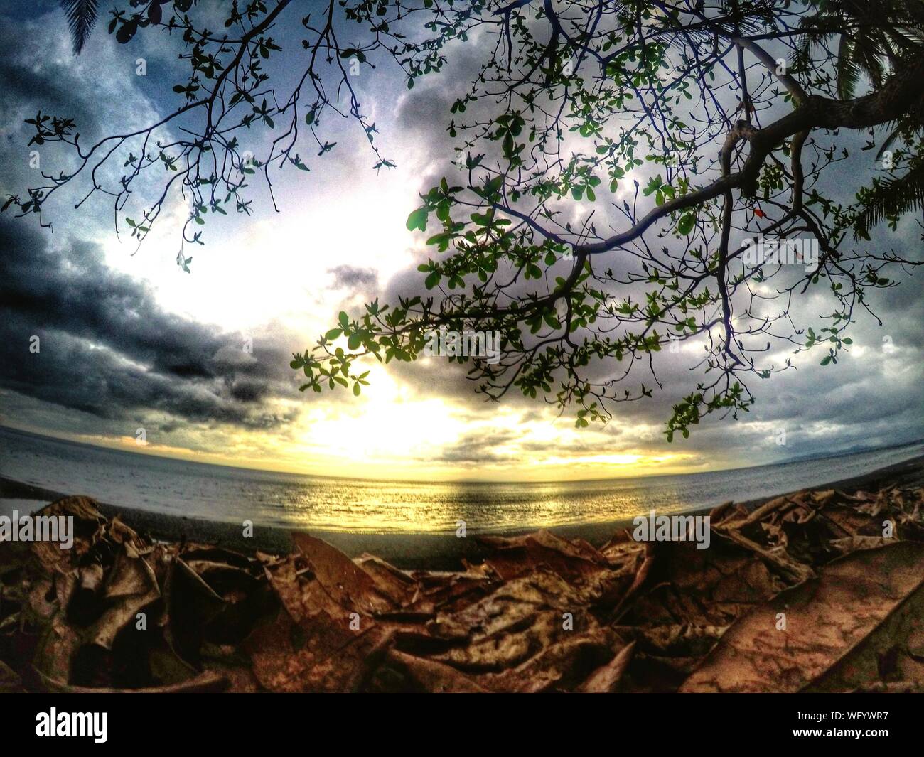 Wide angle beach scene hi-res stock photography and images - Alamy