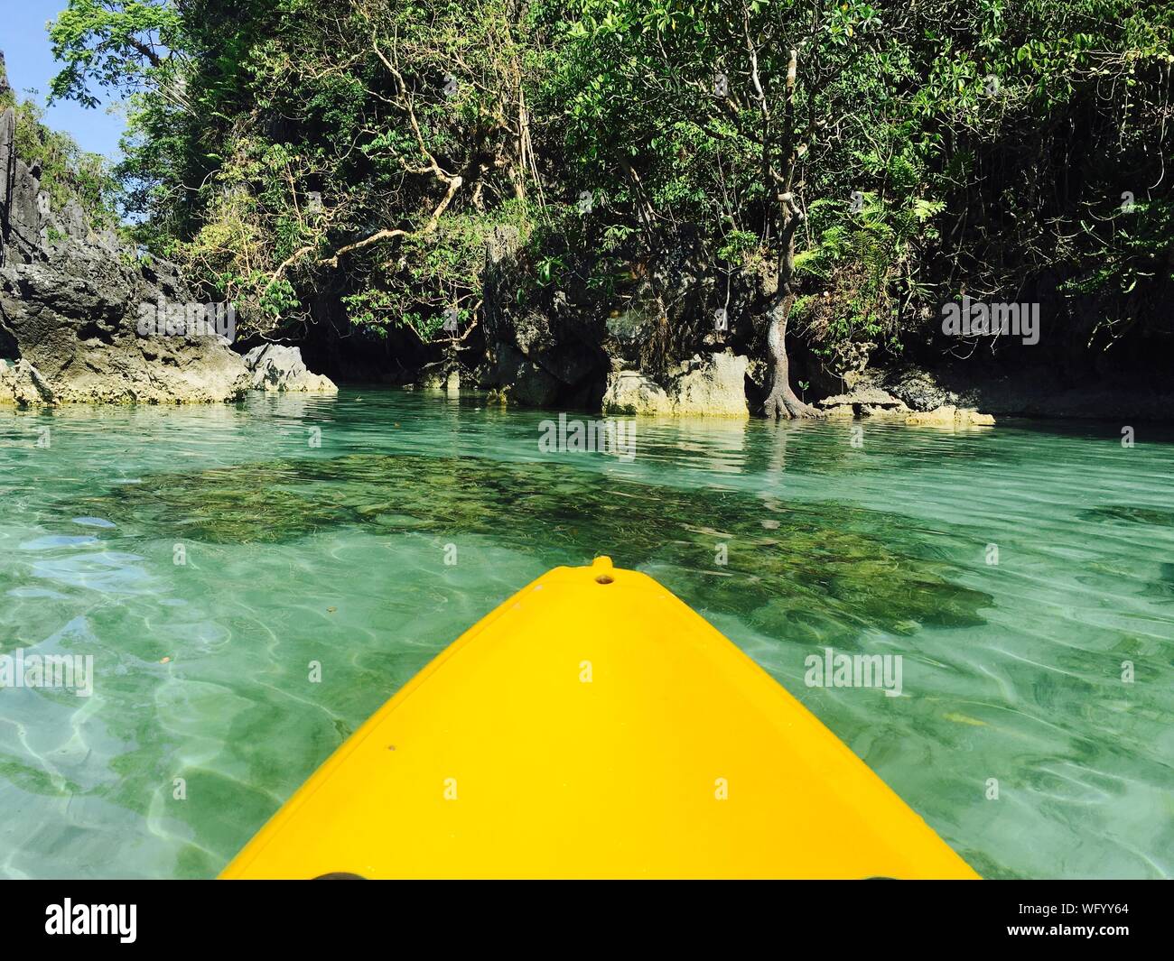 Boat in tree hi-res stock photography and images - Alamy
