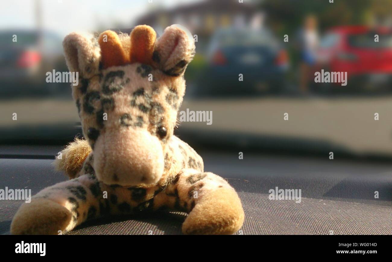 Animal shape car hi-res stock photography and images - Alamy