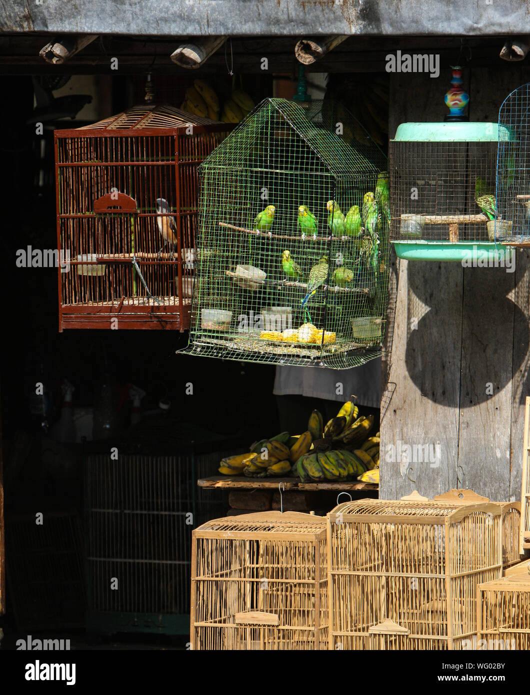 Birds In Cages Stock Photos & Birds In Cages Stock Images - Alamy