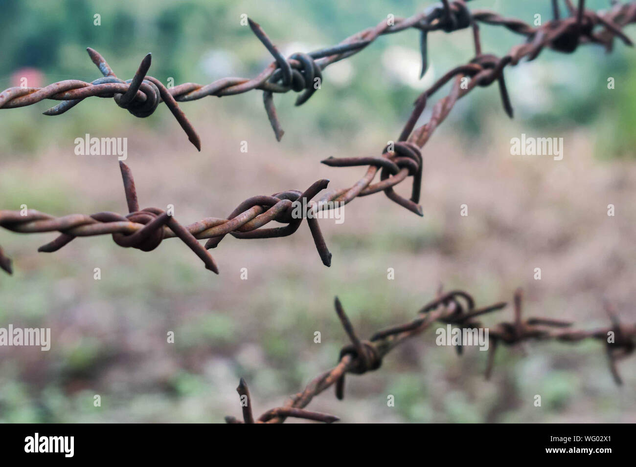 Rusting barb wires indicating a restricted area Stock Photo - Alamy