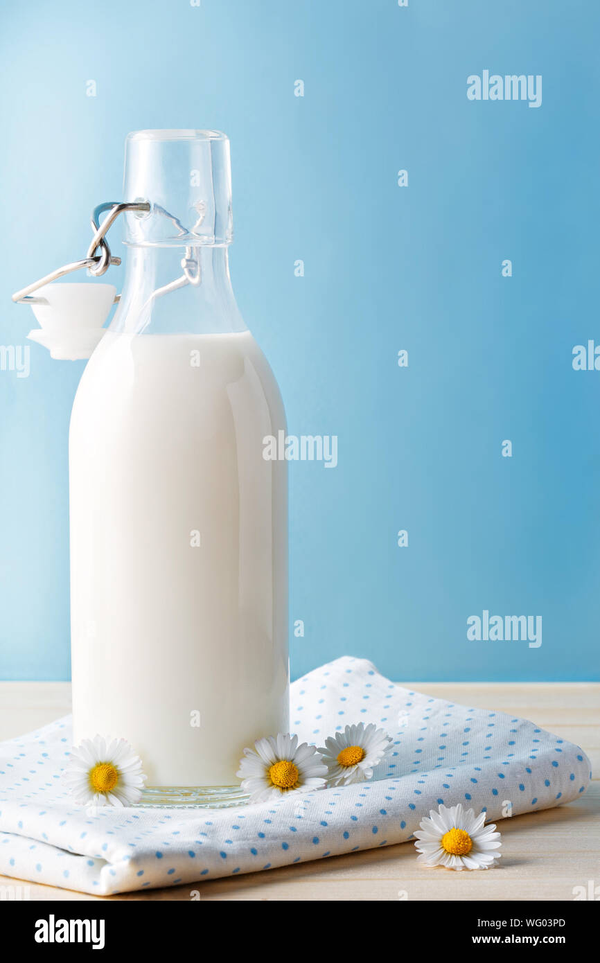 Blue bottle daisy hi-res stock photography and images - Alamy