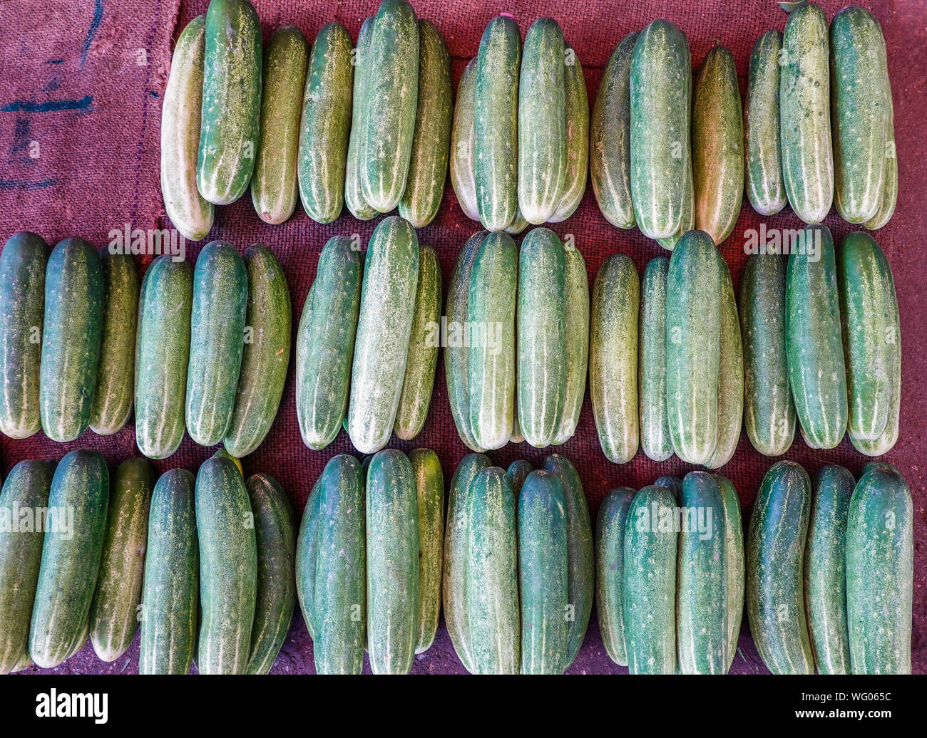 Fresh Cucumbers sold in KR market share located in Bangalore which is ...