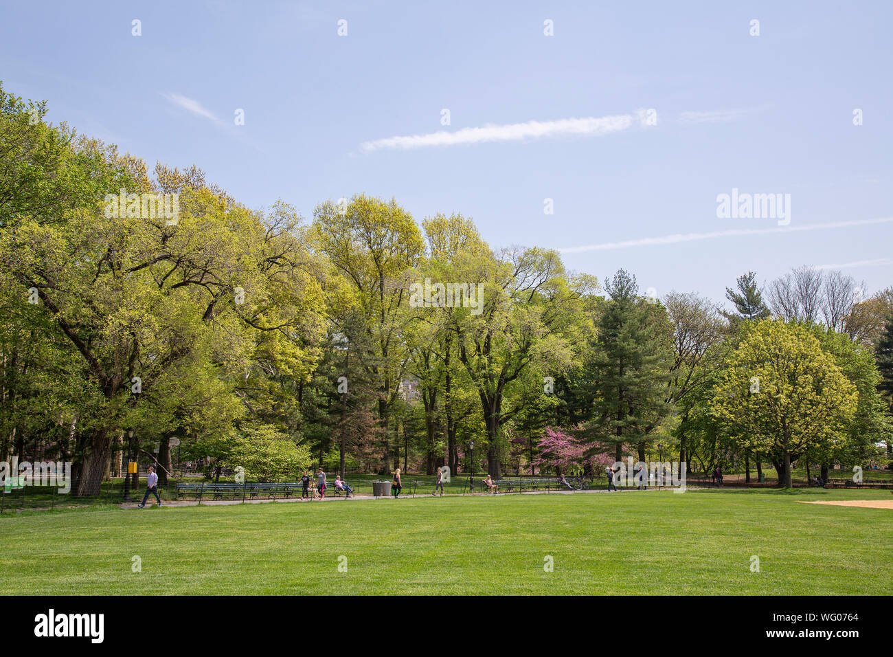 Central park greenery hi-res stock photography and images - Alamy