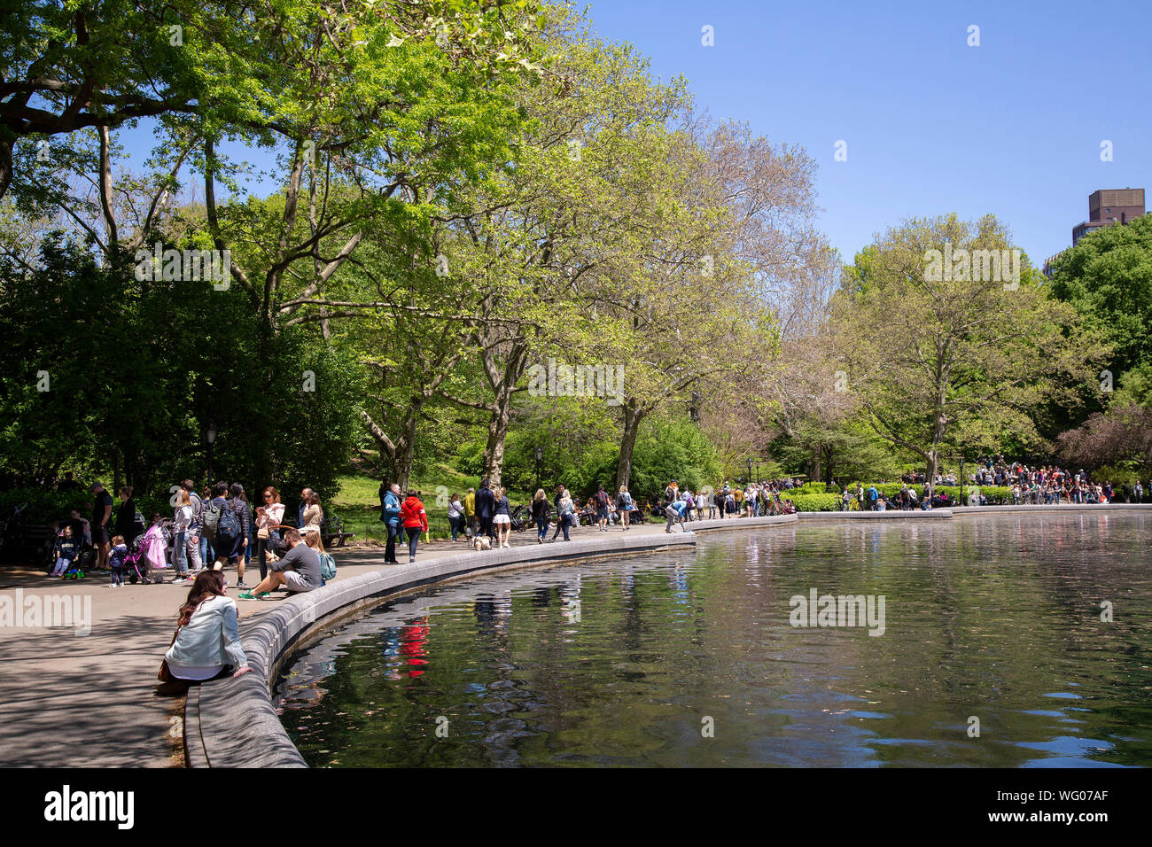 People relaxing and strolling along the Conservatory Pond in Central ...